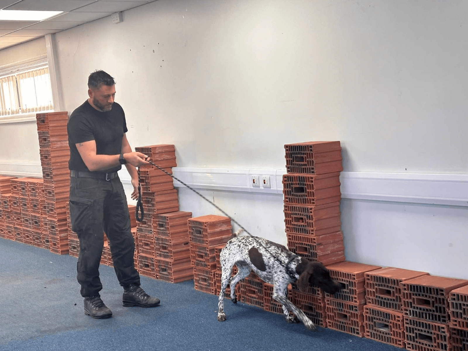 Role and history of police dogs - Thin Blue Paw