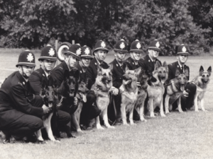 Role and history of police dogs - Thin Blue Paw
