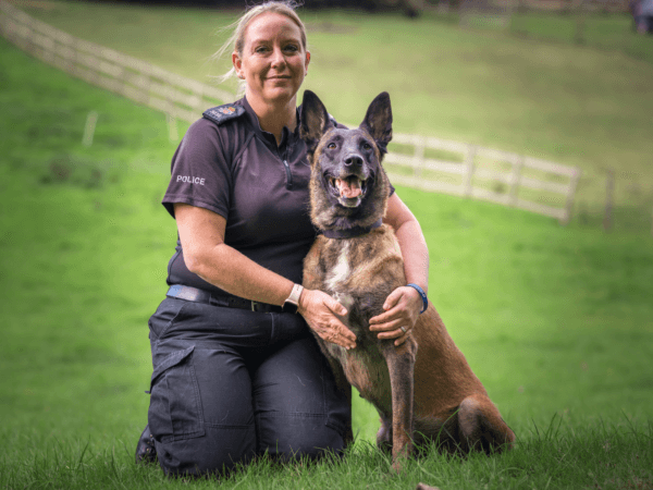How to Adopt Retired Police Dogs | Thin Blue Paw