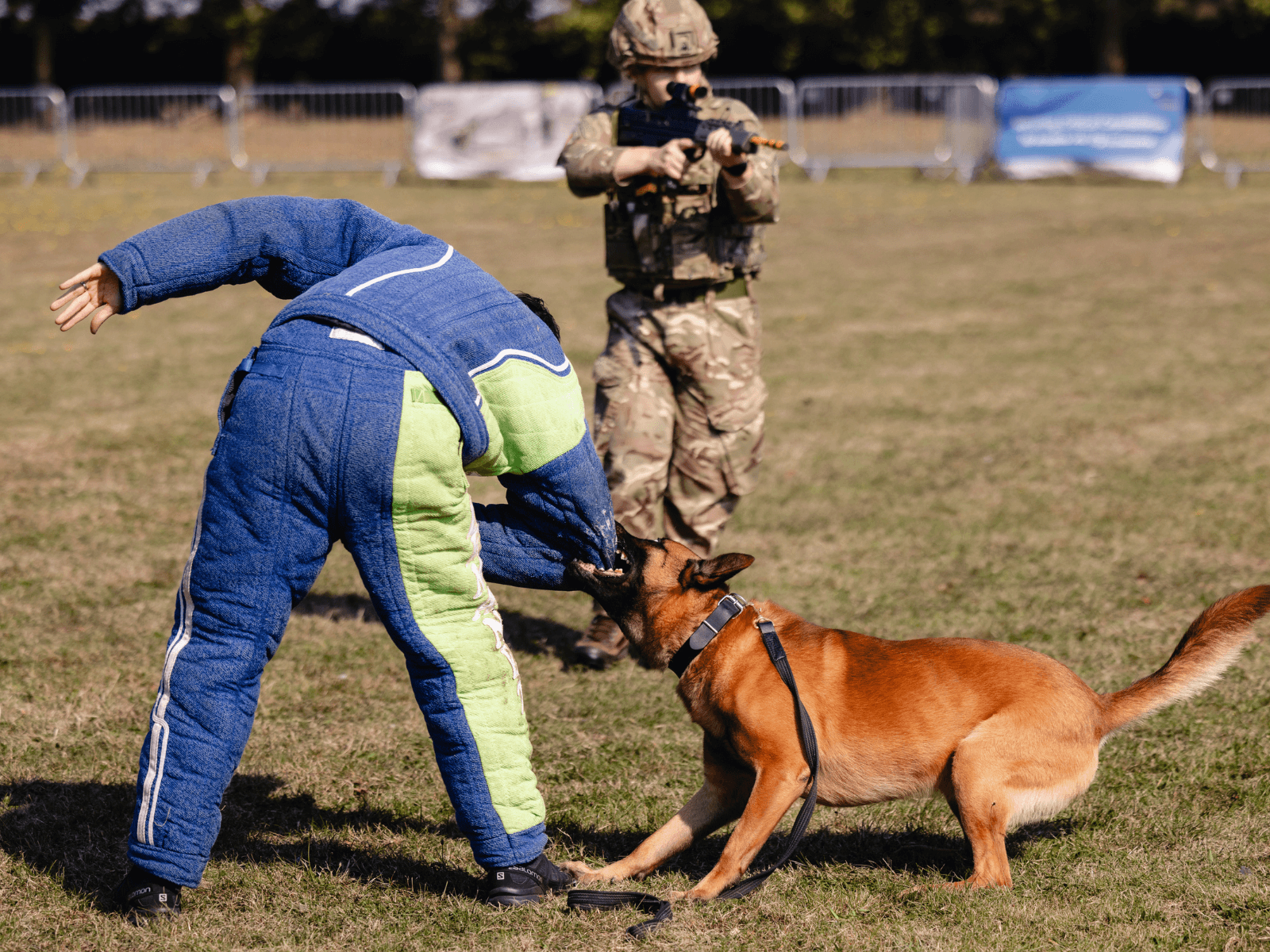 Role and history of police dogs - Thin Blue Paw