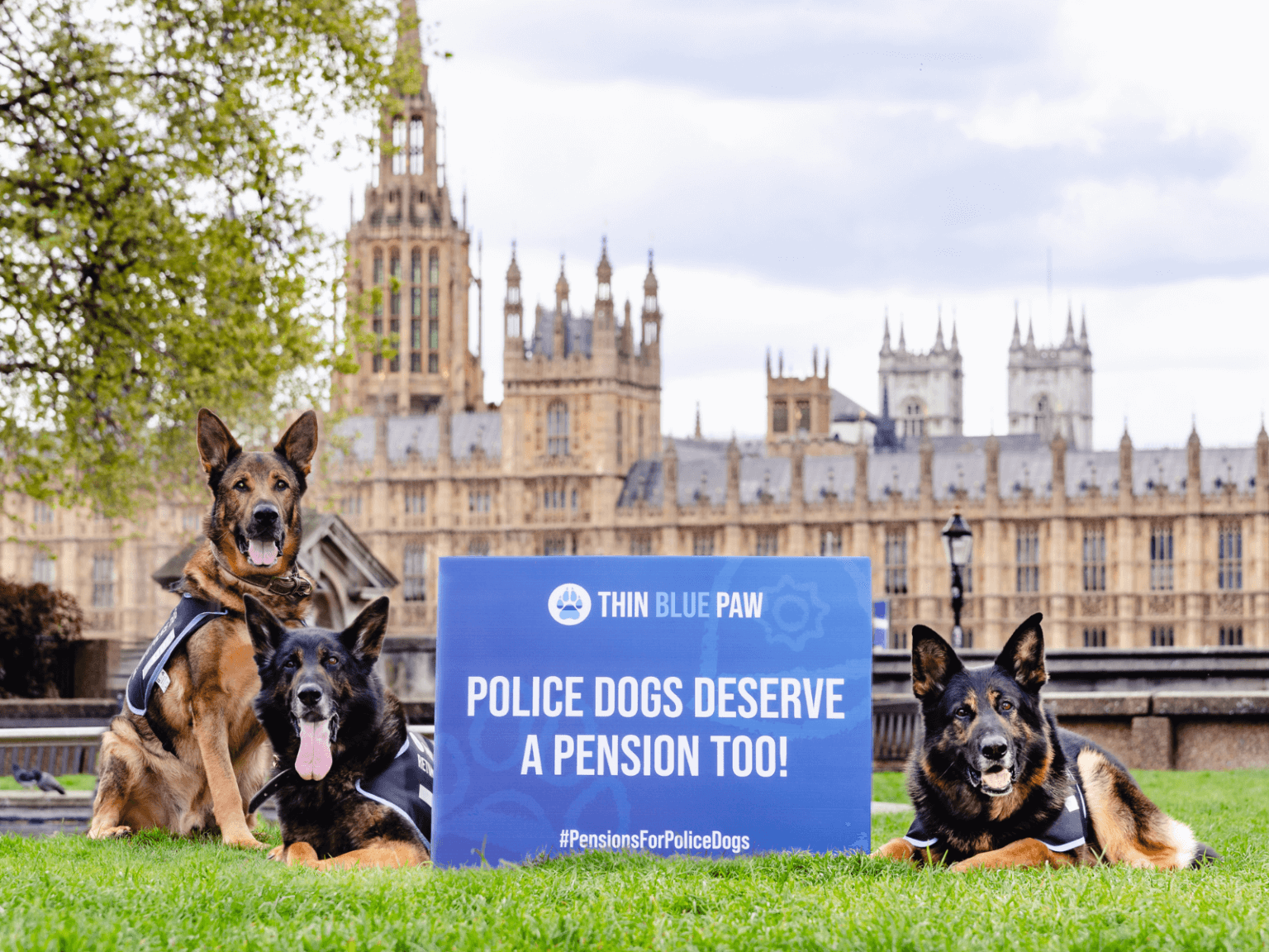 Police dogs deserve a pension: Campaign launched - Thin Blue Paw