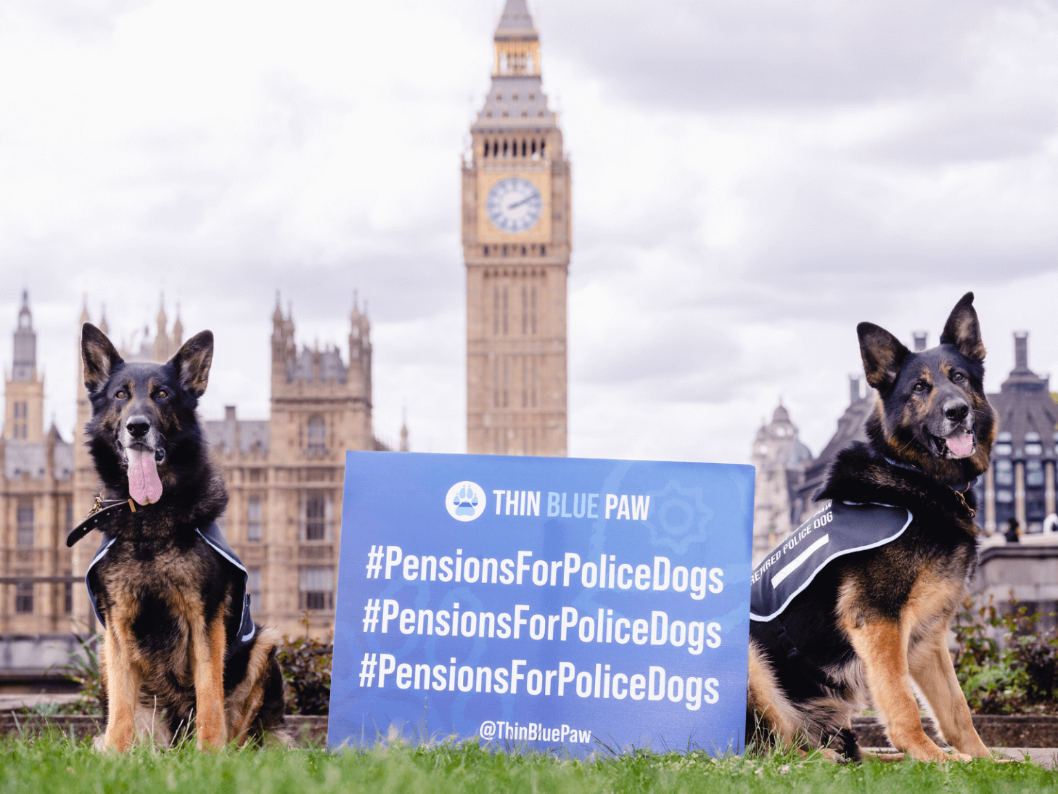 Pensions for police dogs - Thin Blue Paw