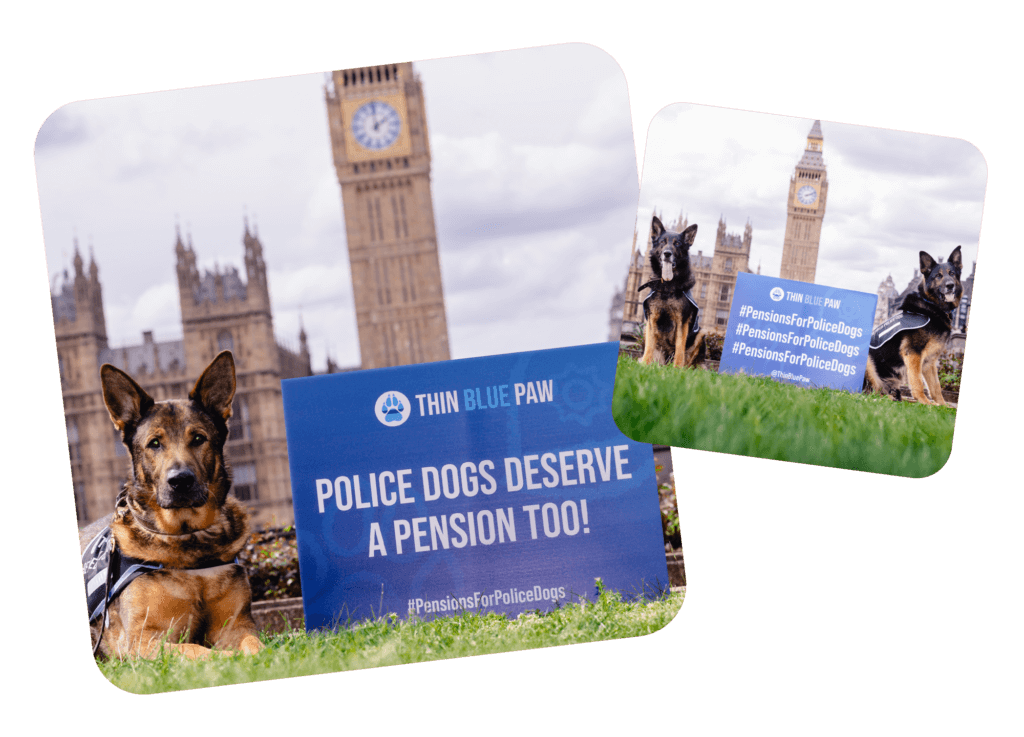 Pensions for police dogs - Thin Blue Paw