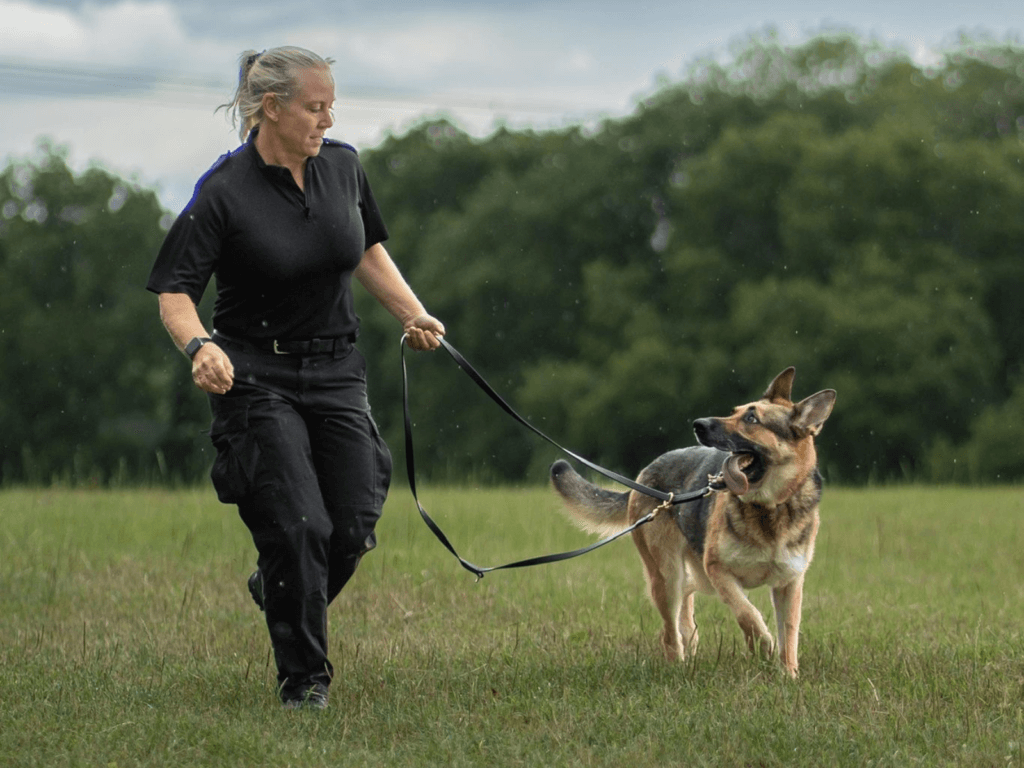 Meet Our Retired Police Dogs | Thin Blue Paw